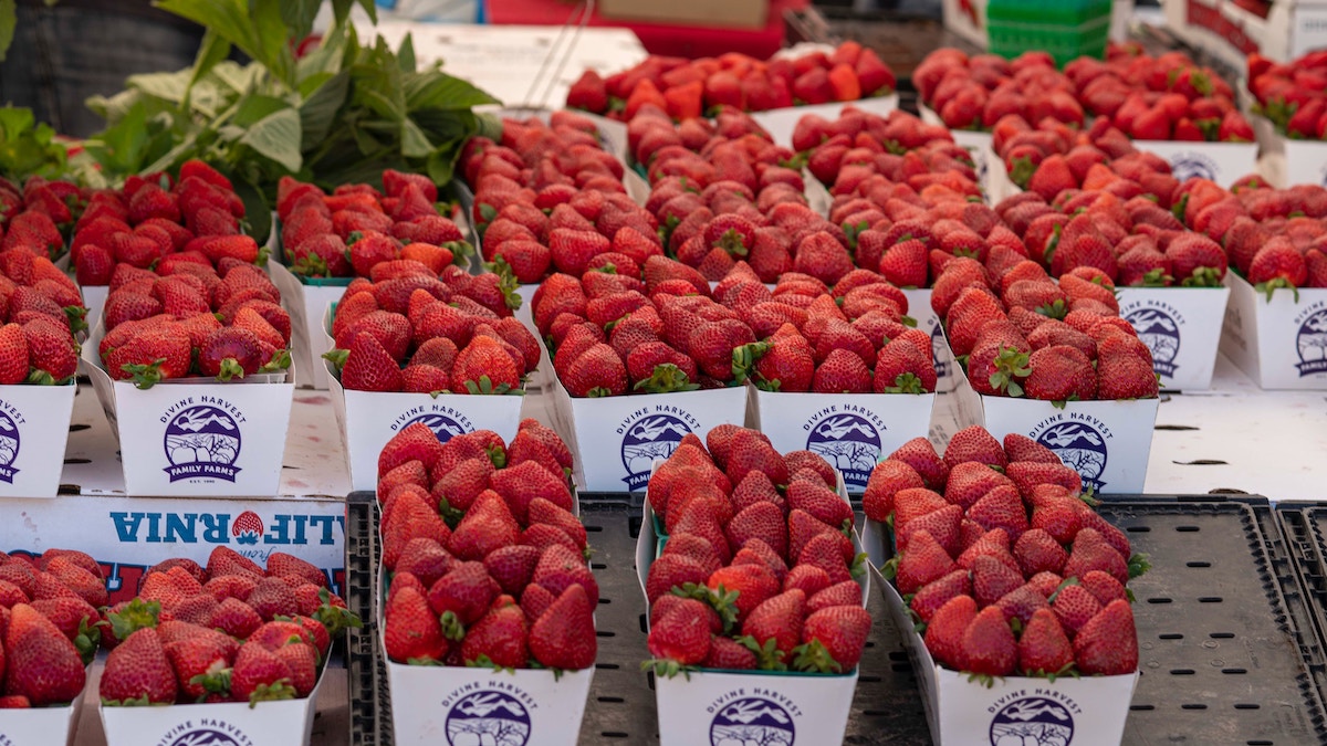 Farmers Markets in Woodland Hills - From the Farm to the Community